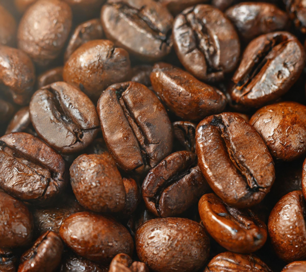 Coorg Coffee – Taste the Coffee. Feel the Difference.